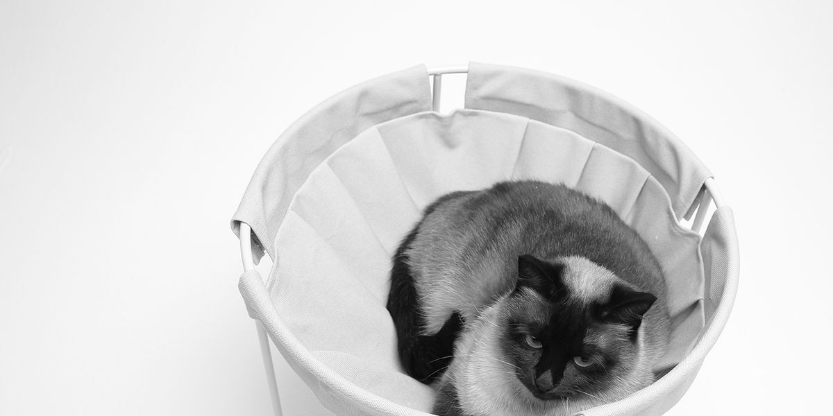 퍼얼(PURR) - 감도 깊은 취향 셀렉트샵 29CM