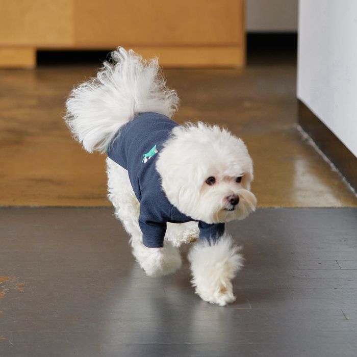 Rullu Pullover - Navy - 감도 깊은 취향 셀렉트샵 29CM