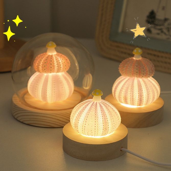 bookaz 천연 조개 led 무드 라이트 무드등 침실 거실 포인트 조명 - 감도 깊은 취향 셀렉트샵 29CM