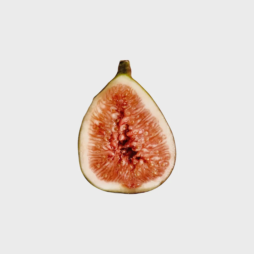fig tok - 감도 깊은 취향 셀렉트샵 29CM
