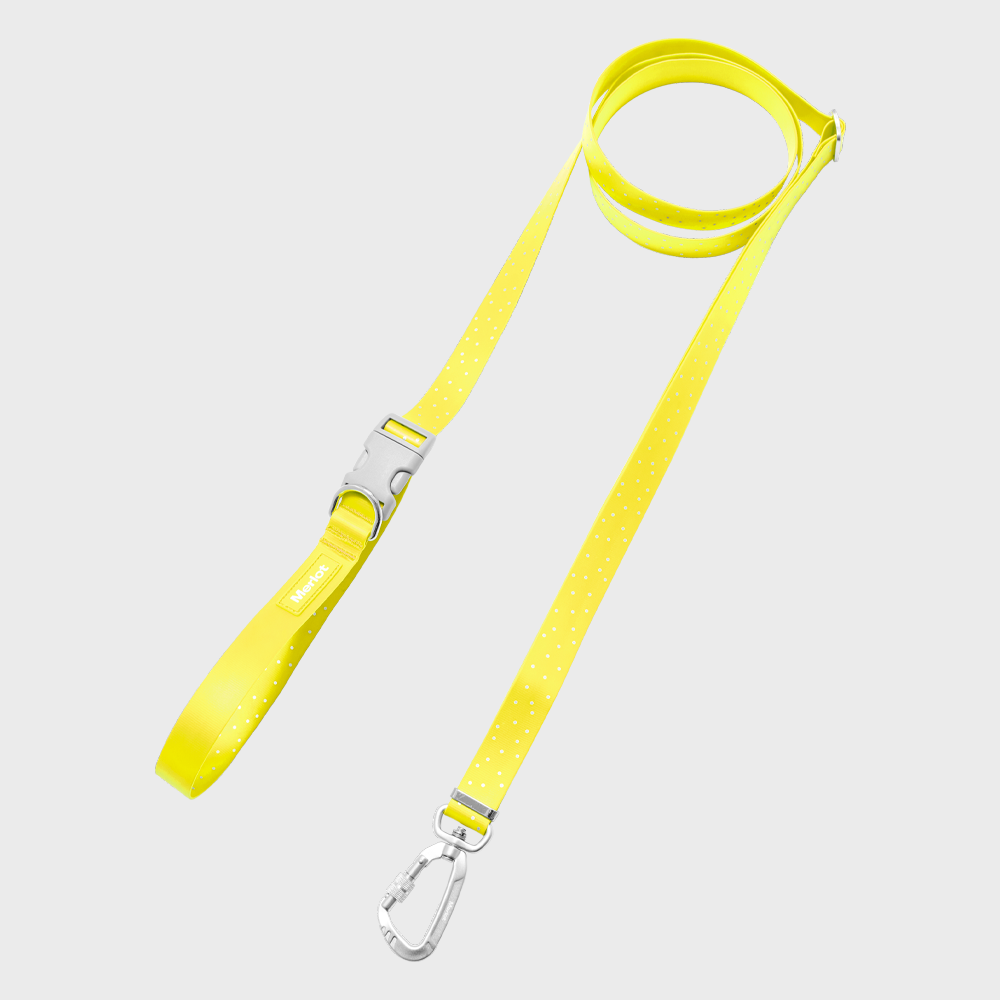 Pearl Leash 2023 Lemon - 감도 깊은 취향 셀렉트샵 29CM