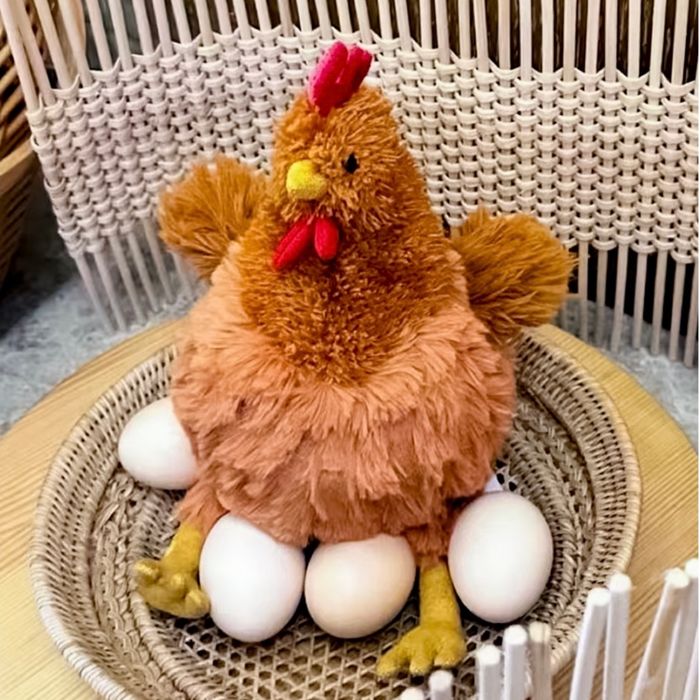 bookaz 반려 닭 리얼 꼬꼬닭 인형 필로우 병아리 치킨 - 감도 깊은 취향 셀렉트샵 29CM