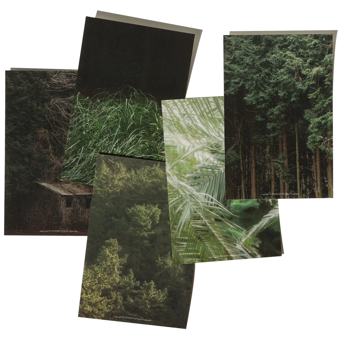 filming postcard ver.06 사진 엽서 - 감도 깊은 취향 셀렉트샵 29CM