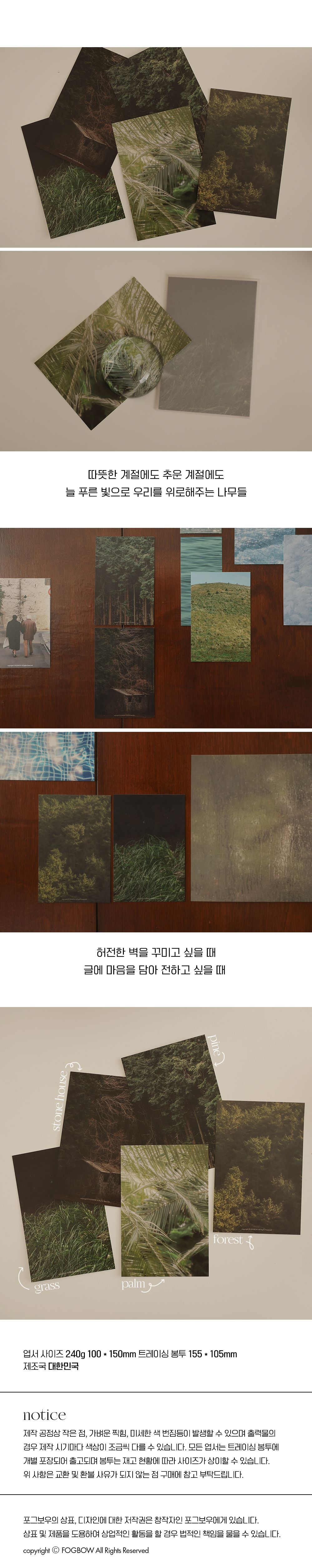 filming postcard ver.06 사진 엽서 - 감도 깊은 취향 셀렉트샵 29CM