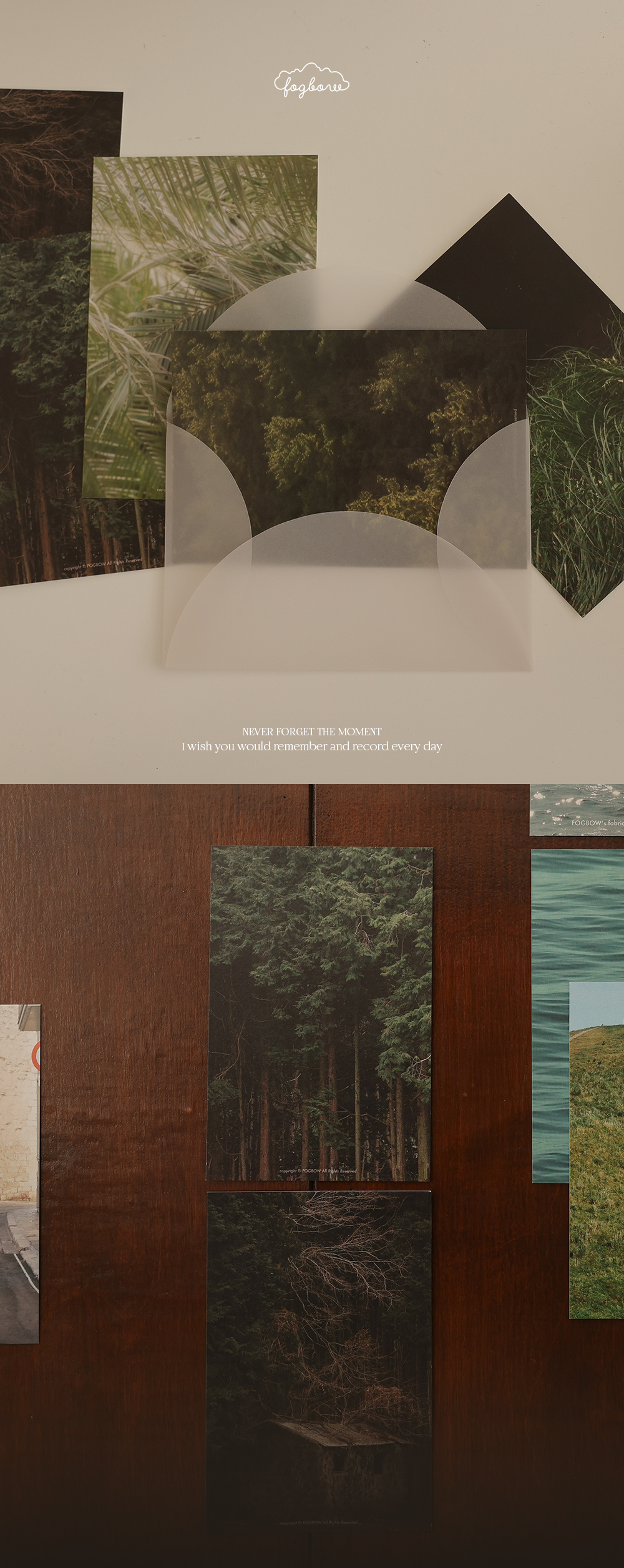 filming postcard ver.06 사진 엽서 - 감도 깊은 취향 셀렉트샵 29CM