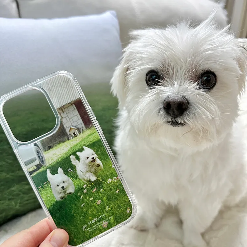 [duet puppy running jelly hard case] 강아지 말티즈 동물 봄 여름 폰케이스 - 감도 깊은 취향 ...