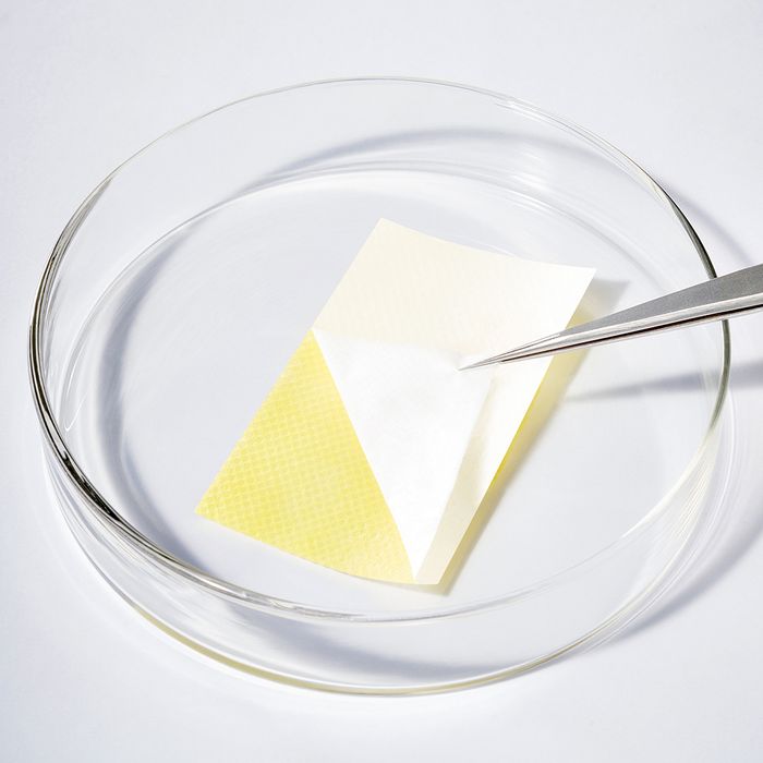 글루타치온 멜팅 필름 1박스 (10매) - 감도 깊은 취향 셀렉트샵 29CM