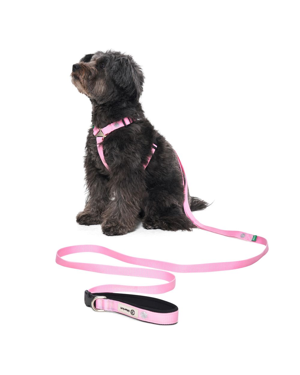 [29CM ONLY] [39ETC + Merlot] NG H-Harness Set - 감도 깊은 취향 셀렉트샵 29CM