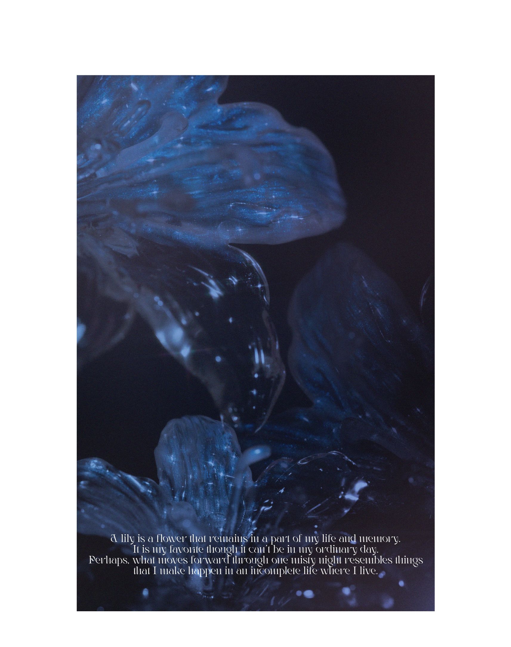 23FW. misty night. earring 06 - 감도 깊은 취향 셀렉트샵 29CM