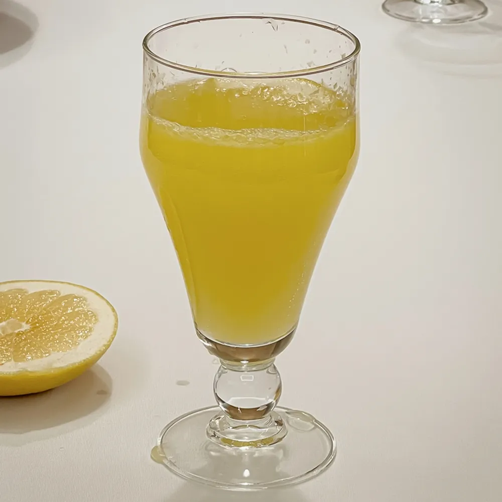 French Bubble Glass (450ml) 와인잔/주스잔 - 감도 깊은 취향 셀렉트샵 29CM