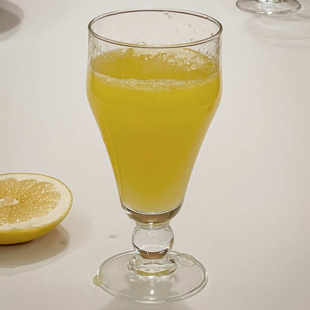 French Bubble Glass (450ml) 와인잔/주스잔 - 감도 깊은 취향 셀렉트샵 29CM