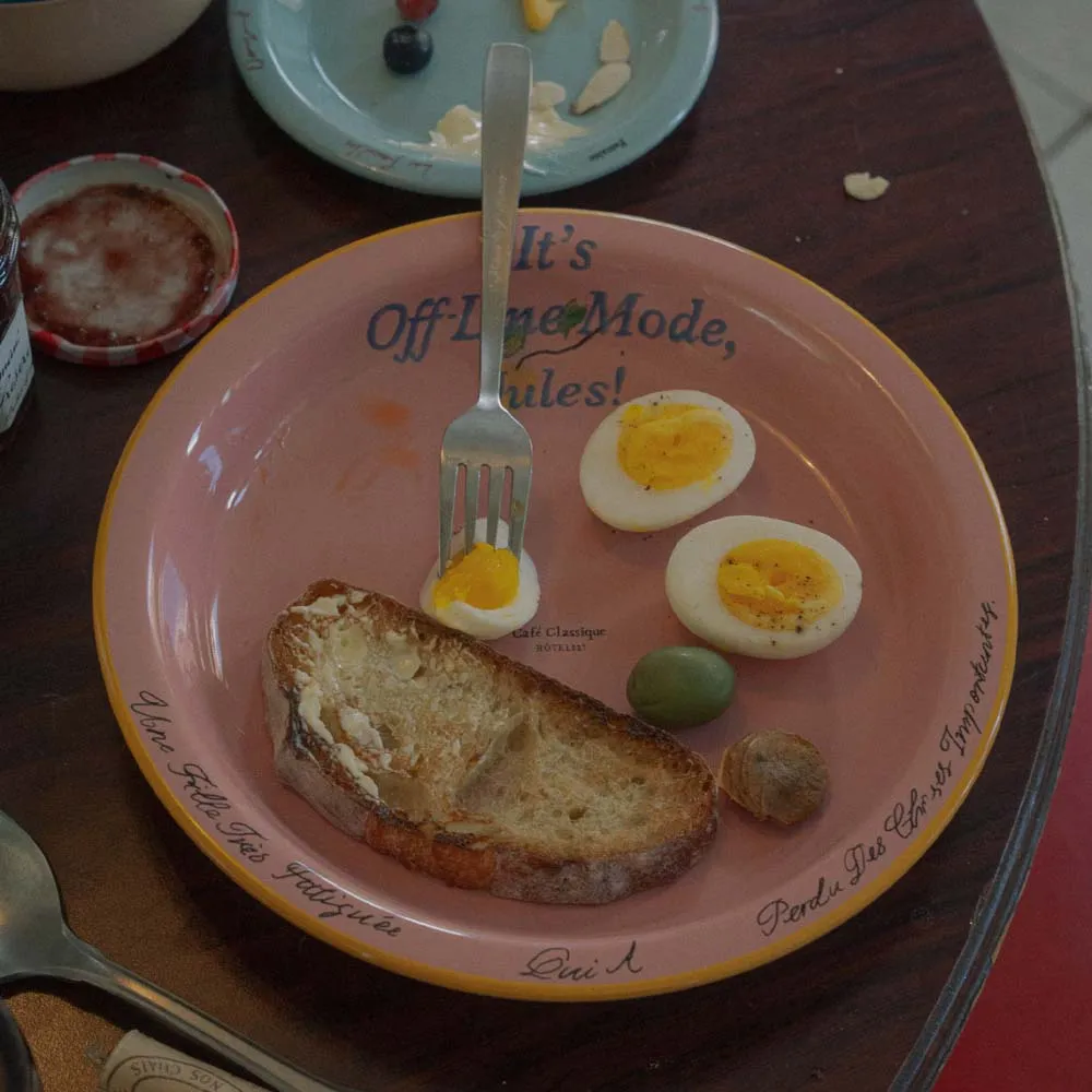 Offline Mode Platter (Old Rose) - 감도 깊은 취향 셀렉트샵 29CM