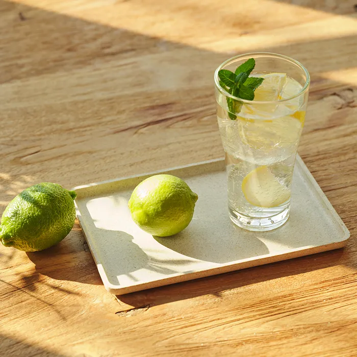 벼껍질 업사이클링 캡슐 트레이 M 4colors - 감도 깊은 취향 셀렉트샵 29CM