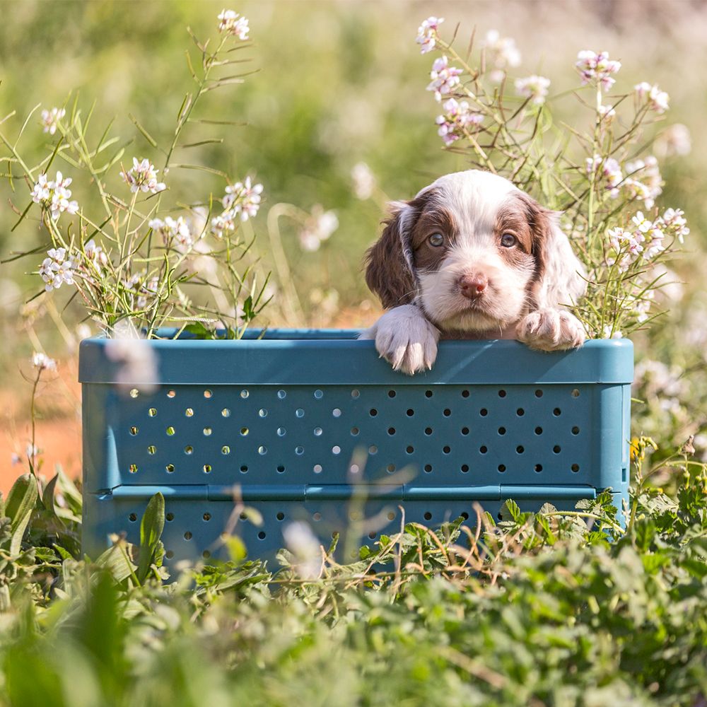 [Vigar]비가 폴딩 박스 11.3L_스톤 블루 / VIG-11043 - 감도 깊은 취향 셀렉트샵 29CM