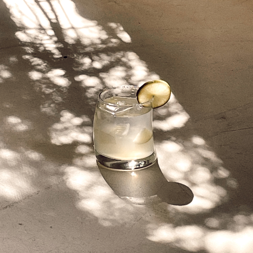 팜 트리 글라스 Palm Tree Glass 370ml - 감도 깊은 취향 셀렉트샵 29CM