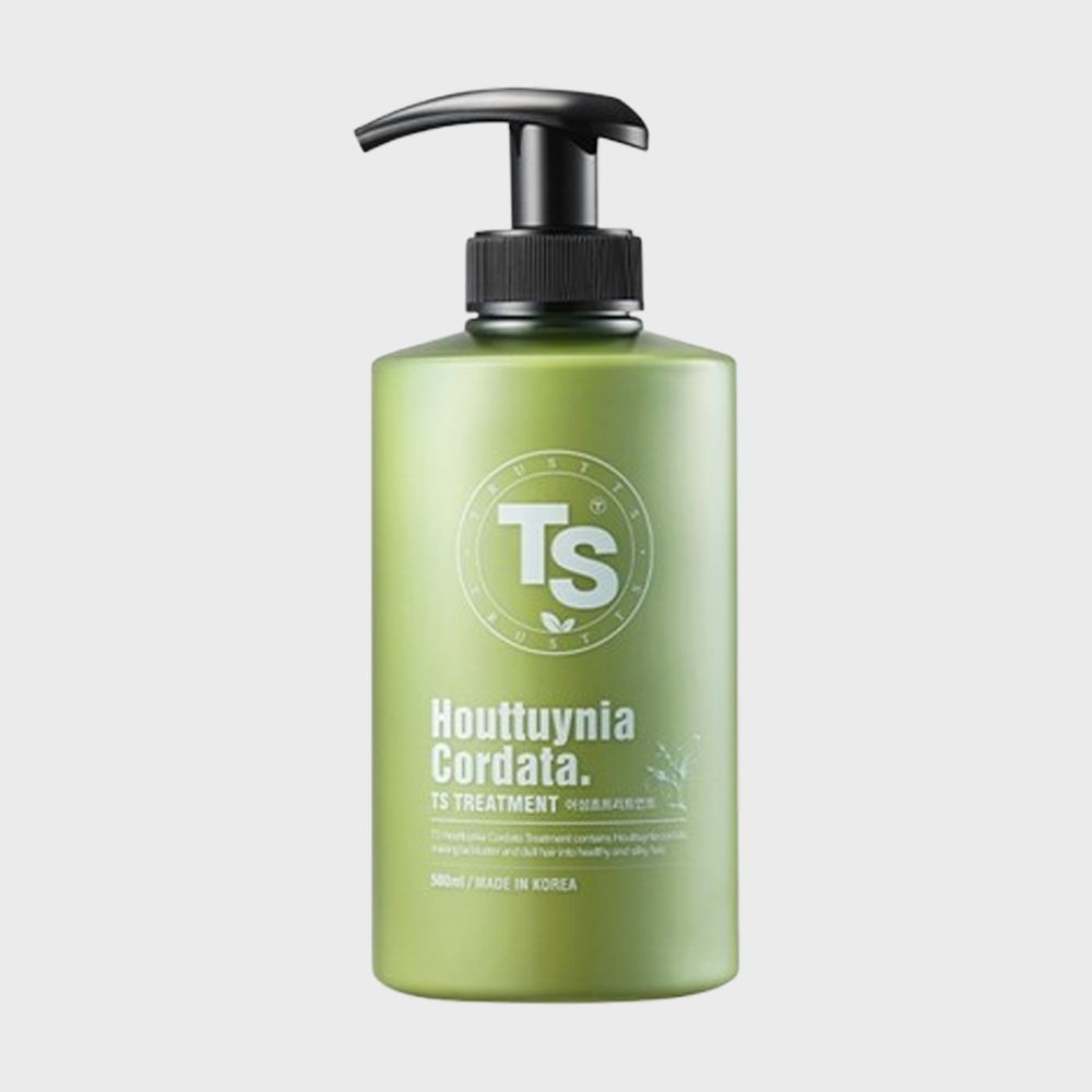 TS어성초트리트먼트 500ml - 감도 깊은 취향 셀렉트샵 29CM