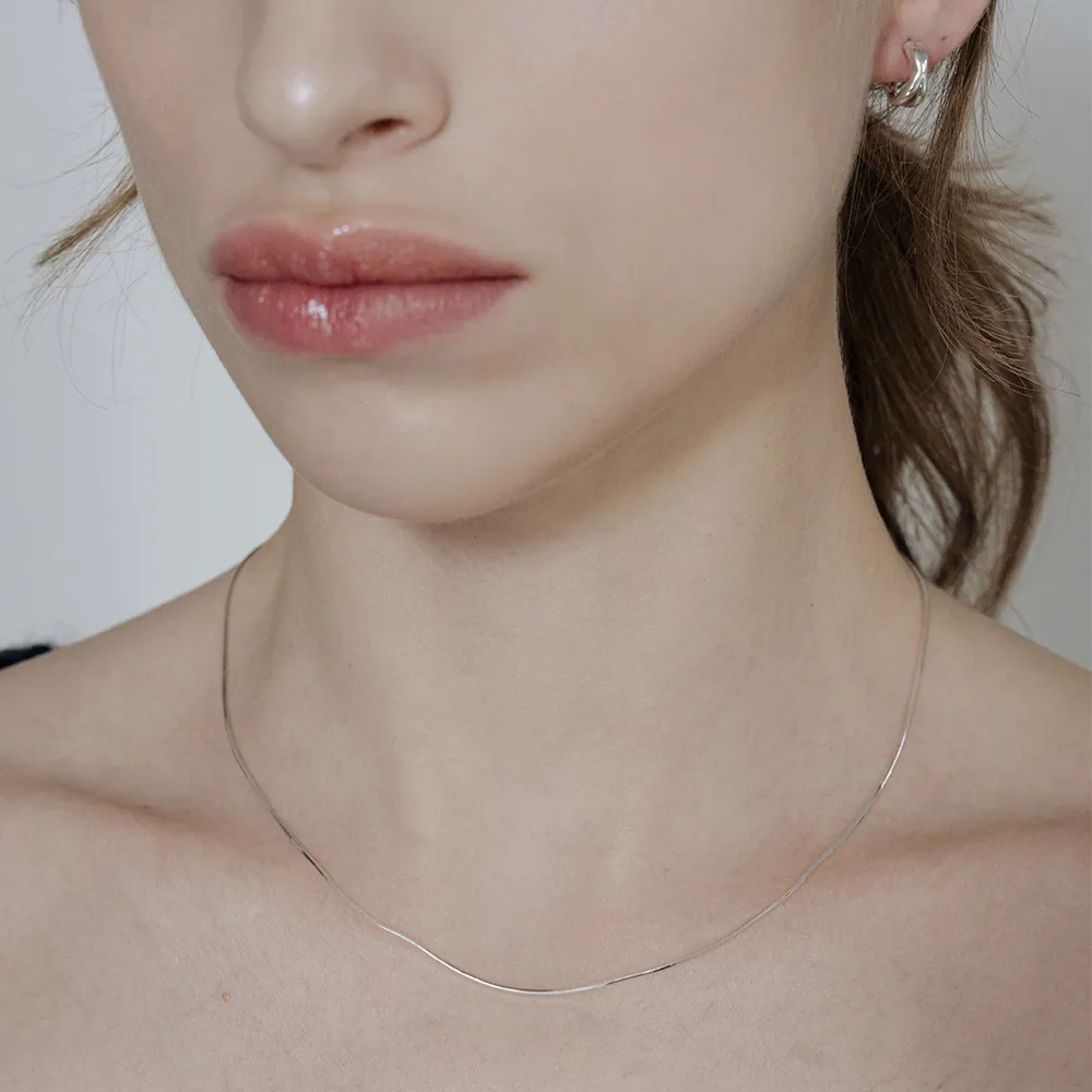 [silver925] TB011 snake chain necklace - 감도 깊은 취향 셀렉트샵 29CM