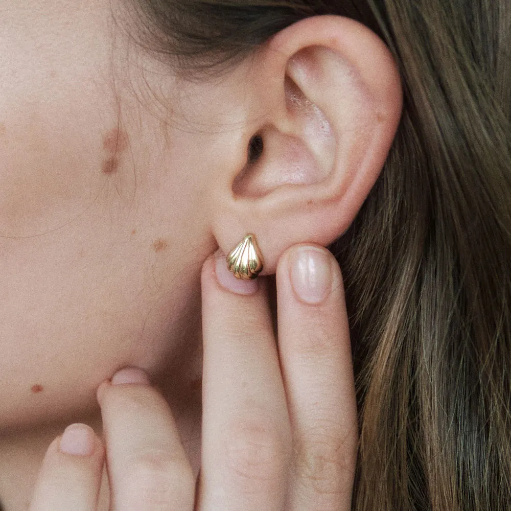 SHELL EARRINGS I - 감도 깊은 취향 셀렉트샵 29CM