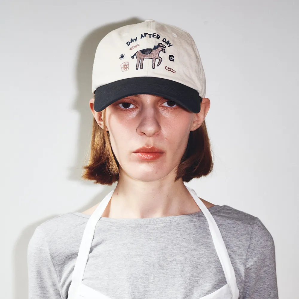 Day After Day Ball Cap_4color - 감도 깊은 취향 셀렉트샵 29CM