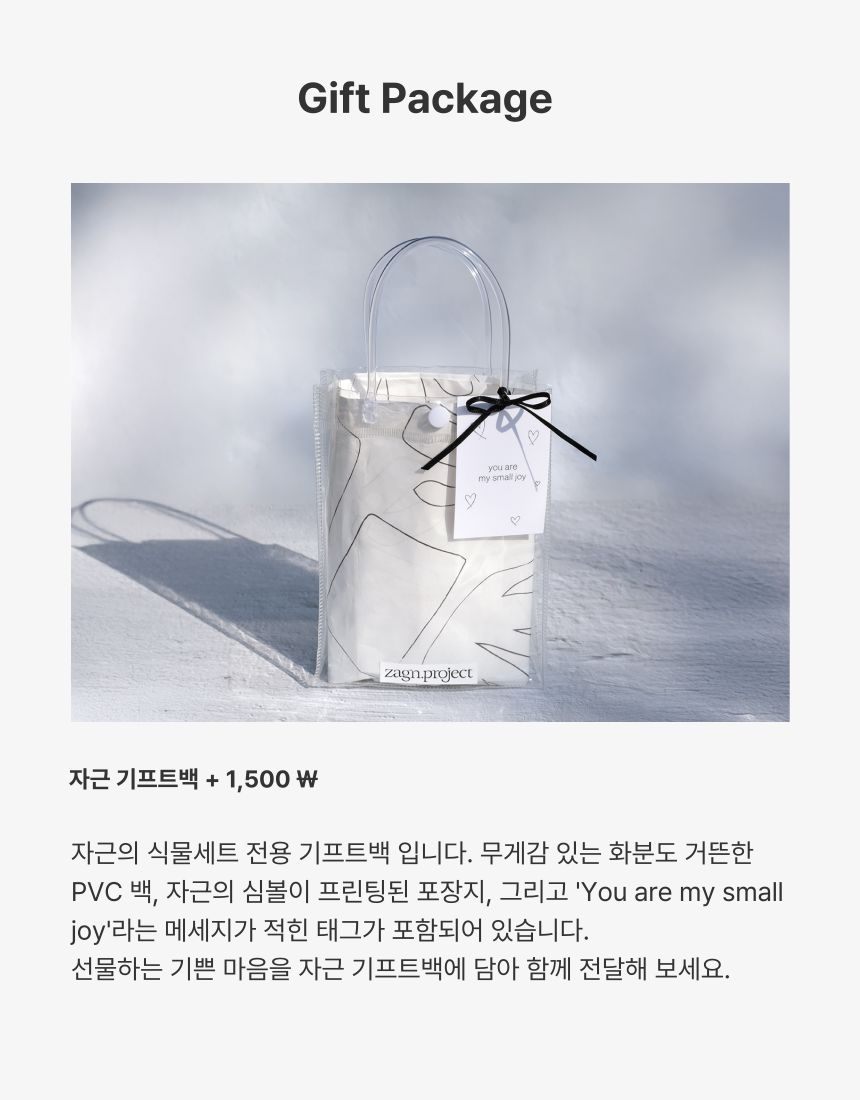 바오밥나무 미니오베숨 자근팟 먼지피규어 세트_화분 7 colors - 감도 깊은 취향 셀렉트샵 29CM