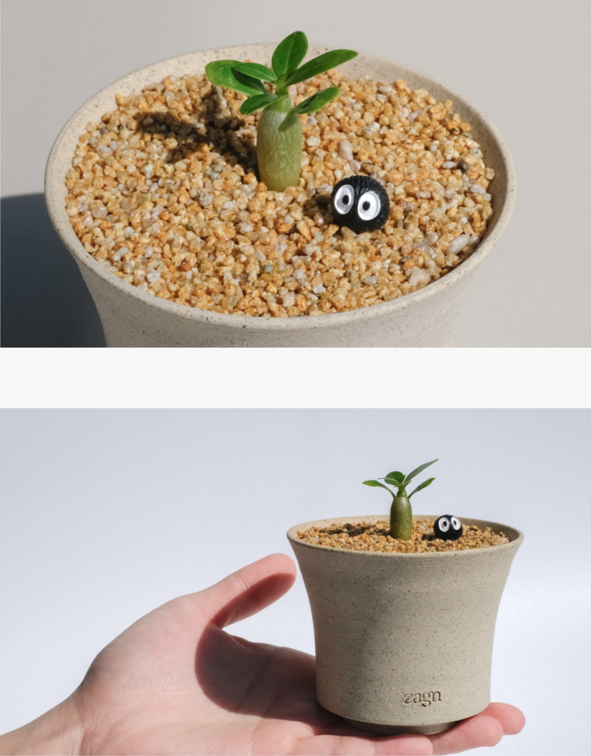 바오밥나무 미니오베숨 자근팟 먼지피규어 세트_화분 7 colors - 감도 깊은 취향 셀렉트샵 29CM