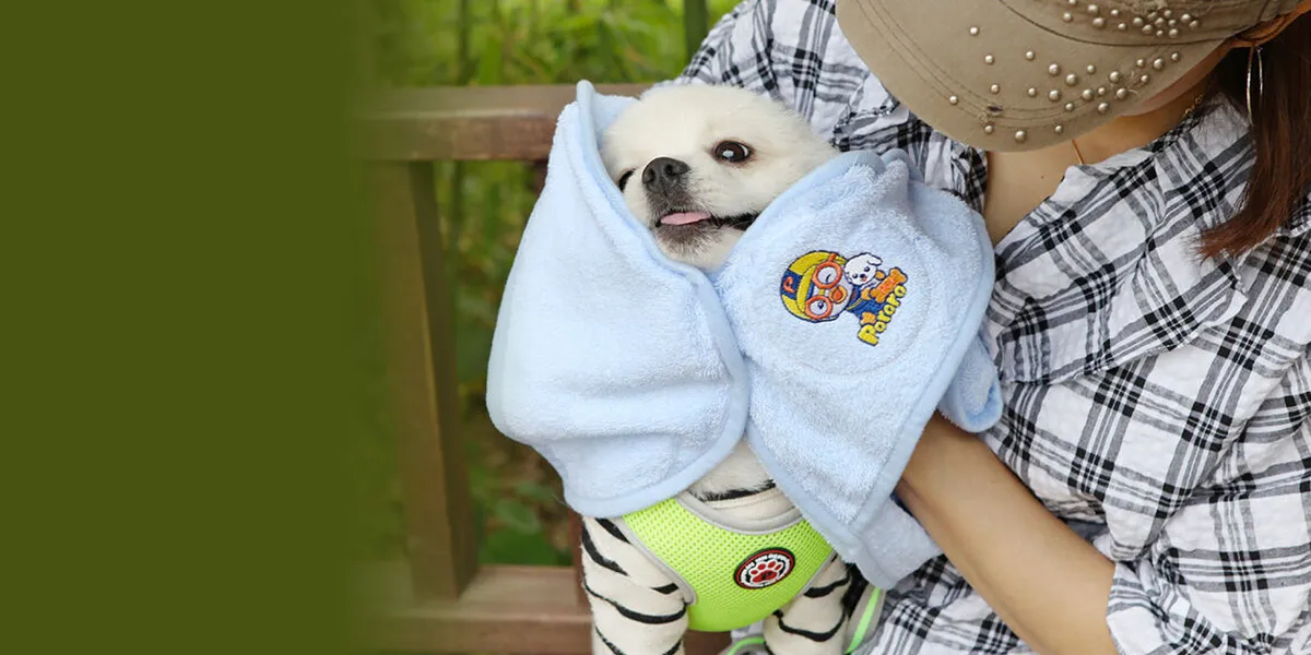 뽀로로 펫(Pororo Pet) - 29CM