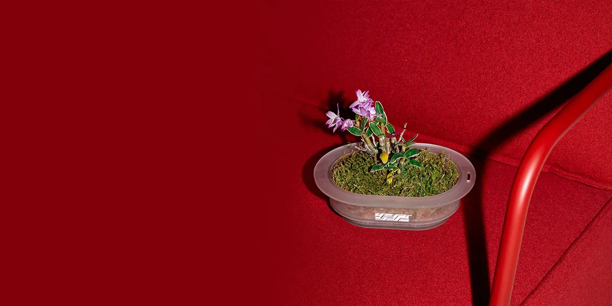 선데이플래닛47(sundayplanet47) - 감도 깊은 취향 셀렉트샵 29CM