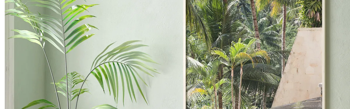 림드(RYMD) - 감도 깊은 취향 셀렉트샵 29CM