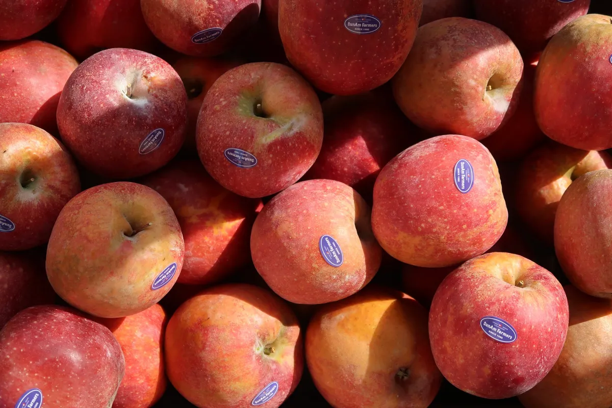 선암파머스(SUNAM FARMERS) - 감도 깊은 취향 셀렉트샵 29CM