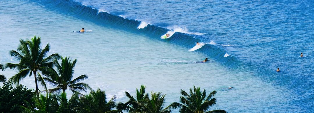 SURFCODE - 감도 깊은 취향 셀렉트샵 29CM