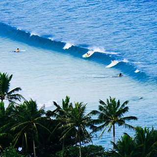 SURFCODE - 감도 깊은 취향 셀렉트샵 29CM