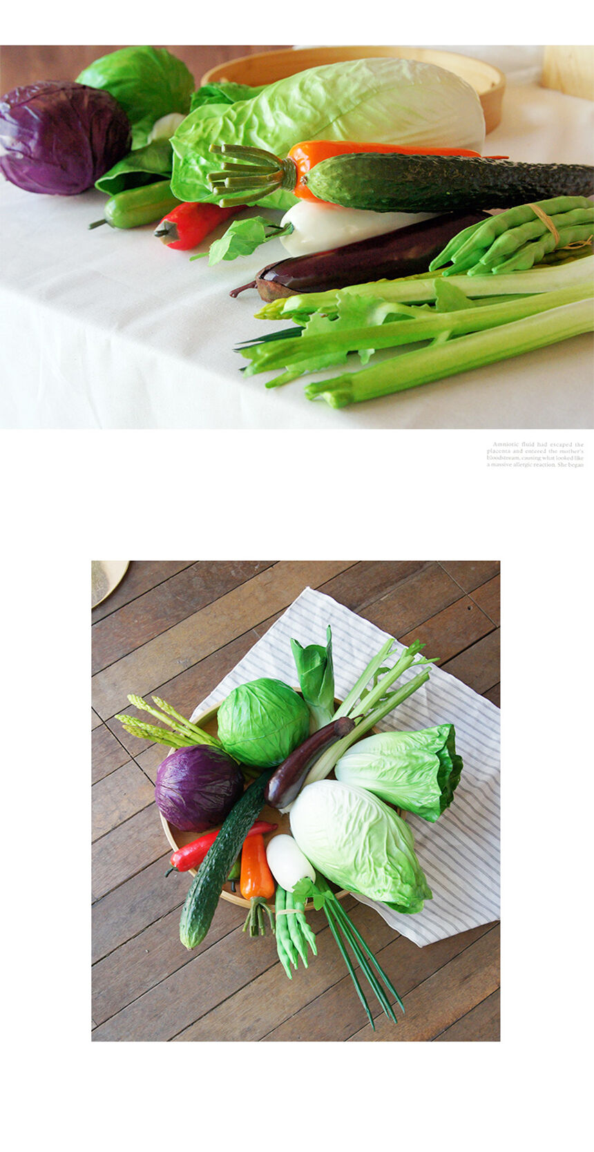 샤브샤브 야채시리즈 모형(14type) - 감도 깊은 취향 셀렉트샵 29CM