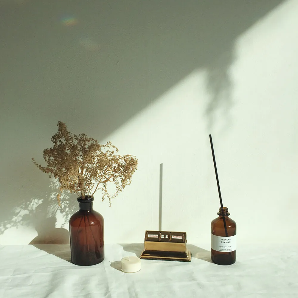 Basic diffuser 100ml (brown) - 감도 깊은 취향 셀렉트샵 29CM