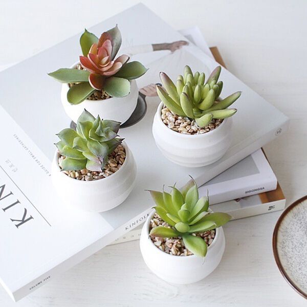 선인장 미니 화분 조화 4p set - 감도 깊은 취향 셀렉트샵 29CM