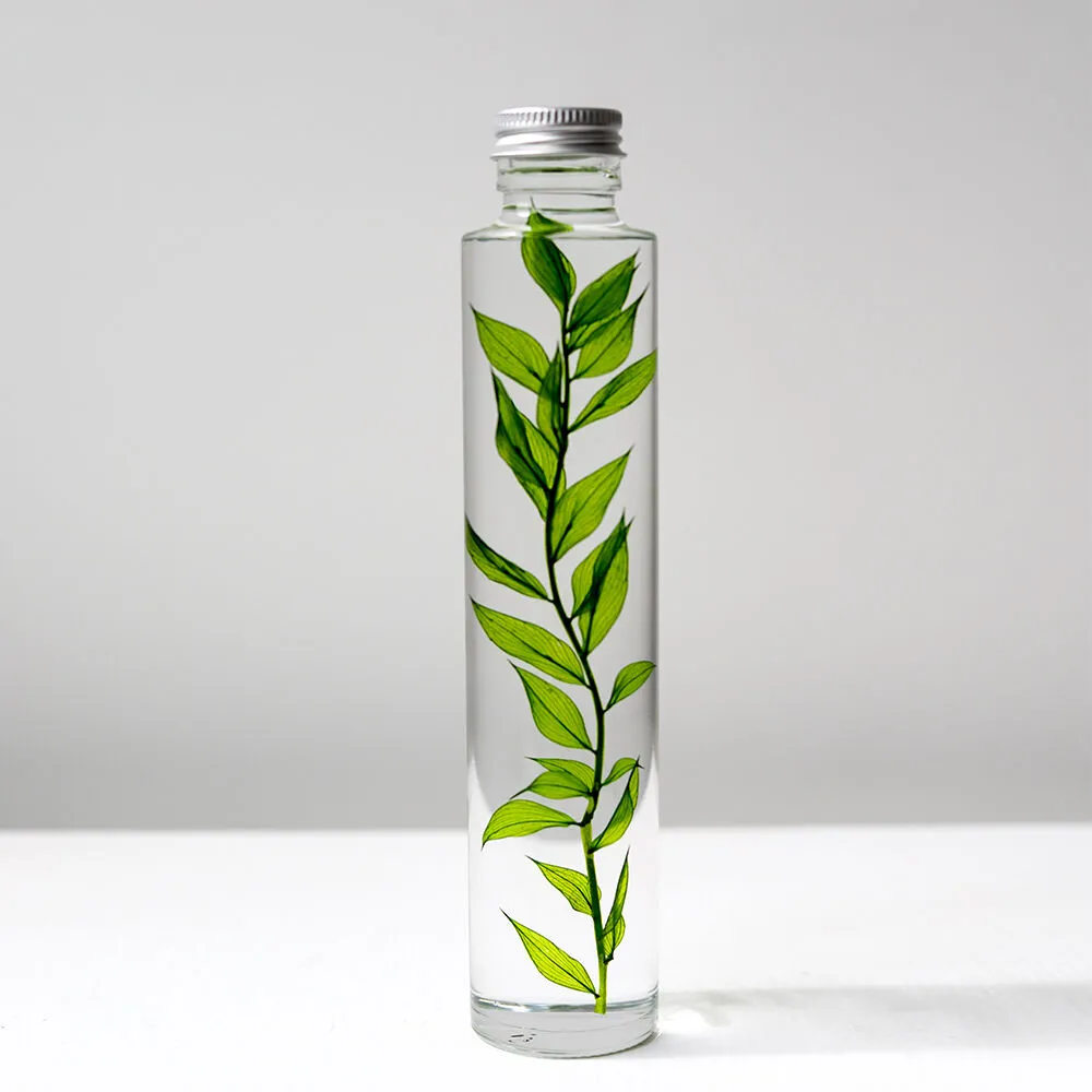식물표본 200ml_Ruscus - 감도 깊은 취향 셀렉트샵 29CM