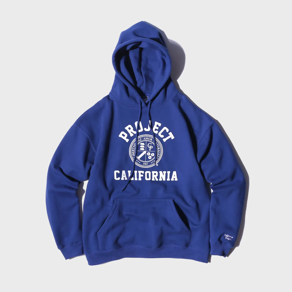 COLLEGE LOGO HOODIE LOOSE FIT (BLUE) - 감도 깊은 취향 셀렉트샵 29CM