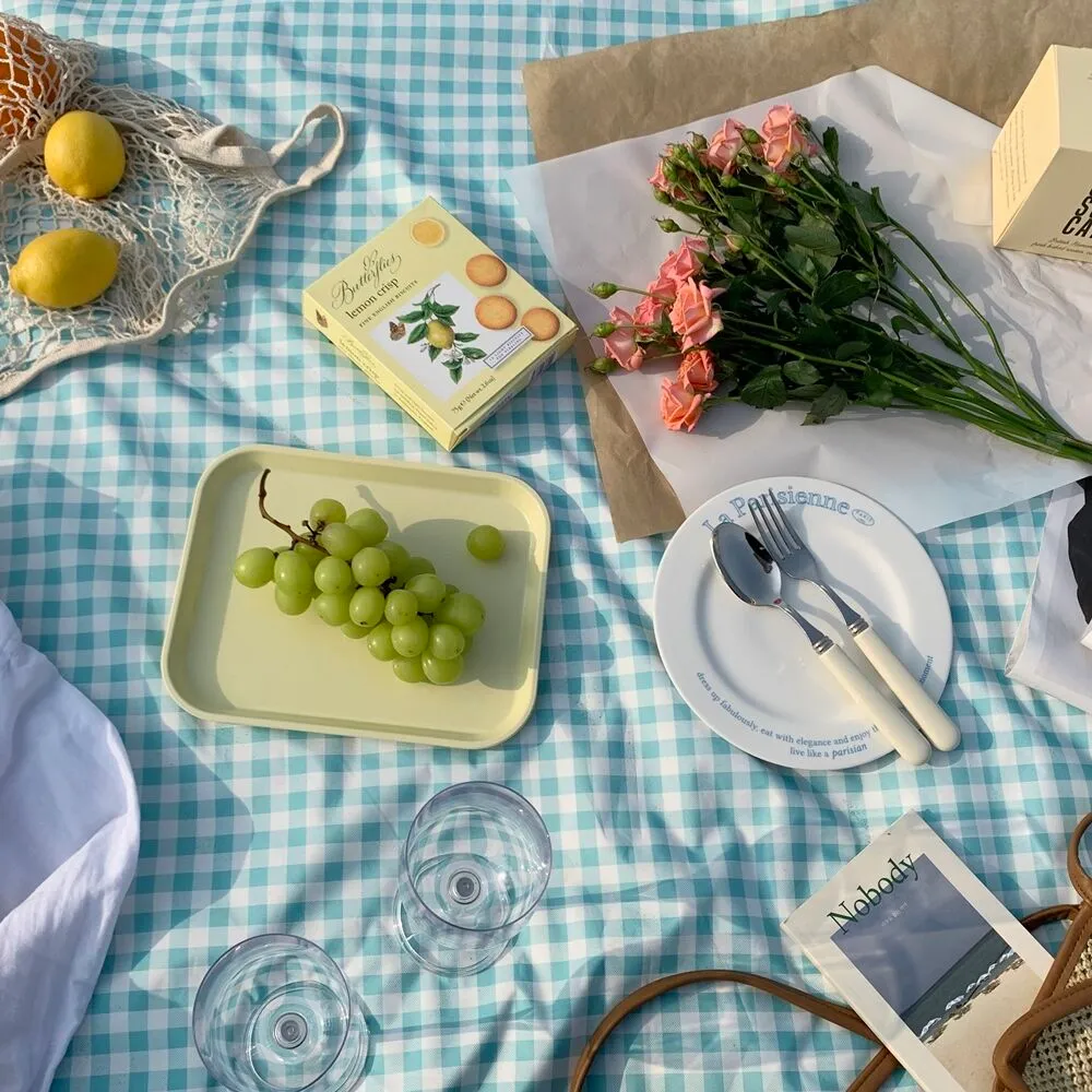 [피크닉용리유저블컵2p증정행사중] 프렌치블루 양면방수 피크닉& 캠핑매트 (2size 전용파우치 돗자리) - 감도 깊은 취향 셀렉트샵 29CM