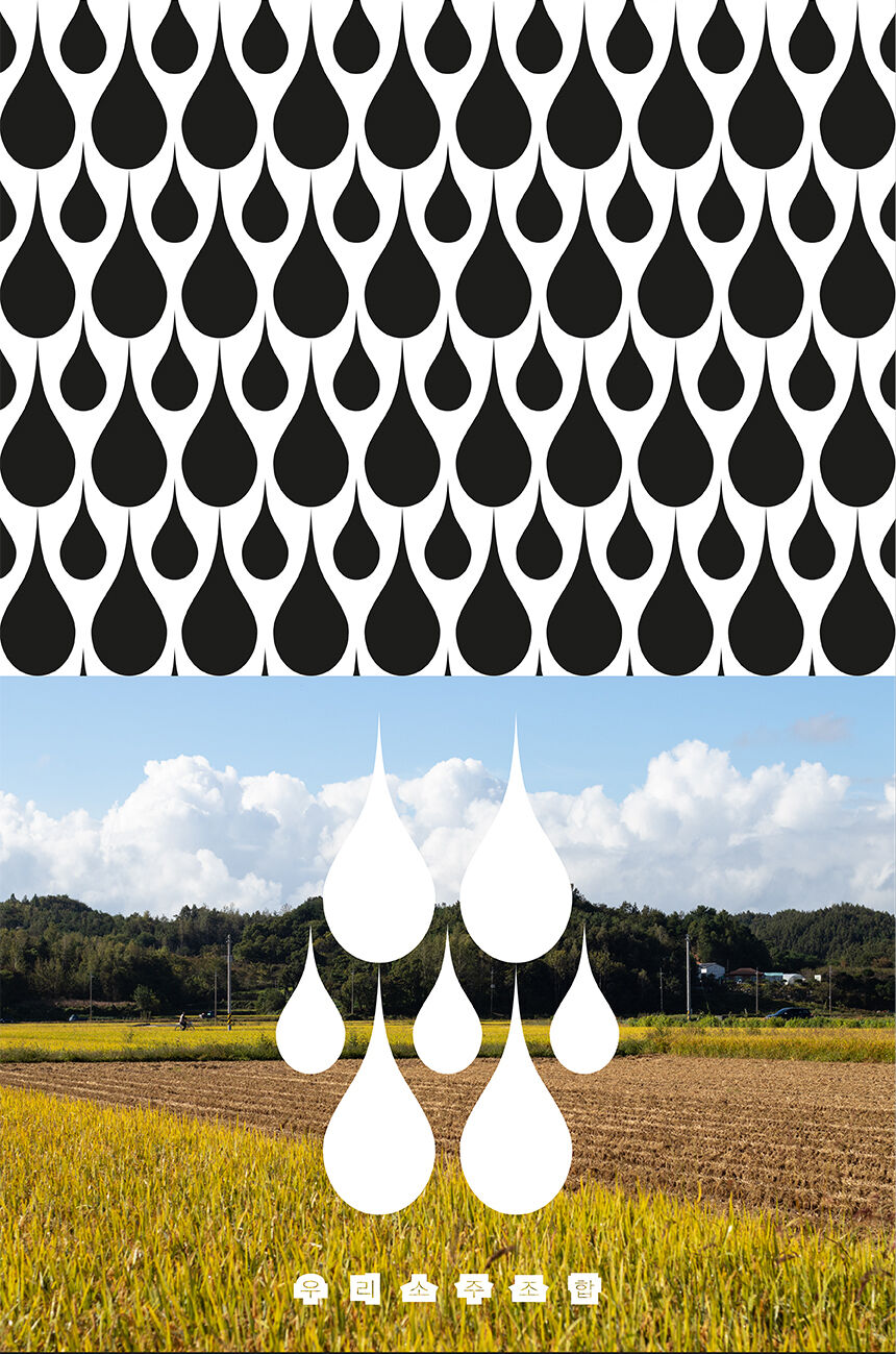 우리소주조합 강릉소주 25도 360ml - 감도 깊은 취향 셀렉트샵 29CM