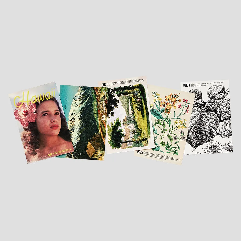 LIFE POSTCARD SET_MANSELL(5EA) - 감도 깊은 취향 셀렉트샵 29CM