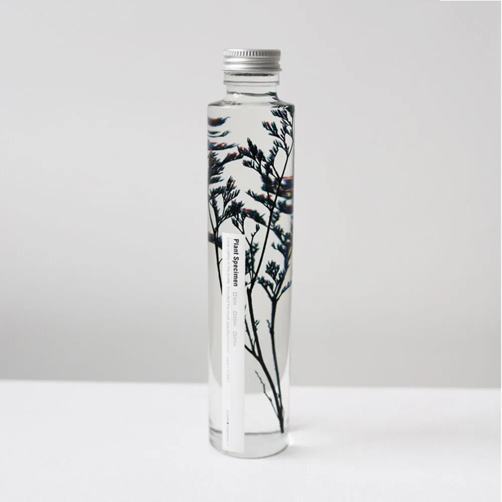 식물표본 200ml_Limonium tetragonum - 감도 깊은 취향 셀렉트샵 29CM