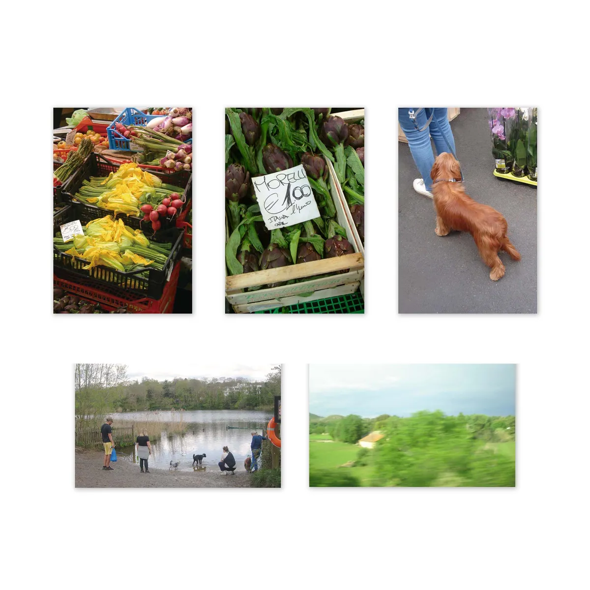 [chaenchoi] beau moments postcard - 감도 깊은 취향 셀렉트샵 29CM