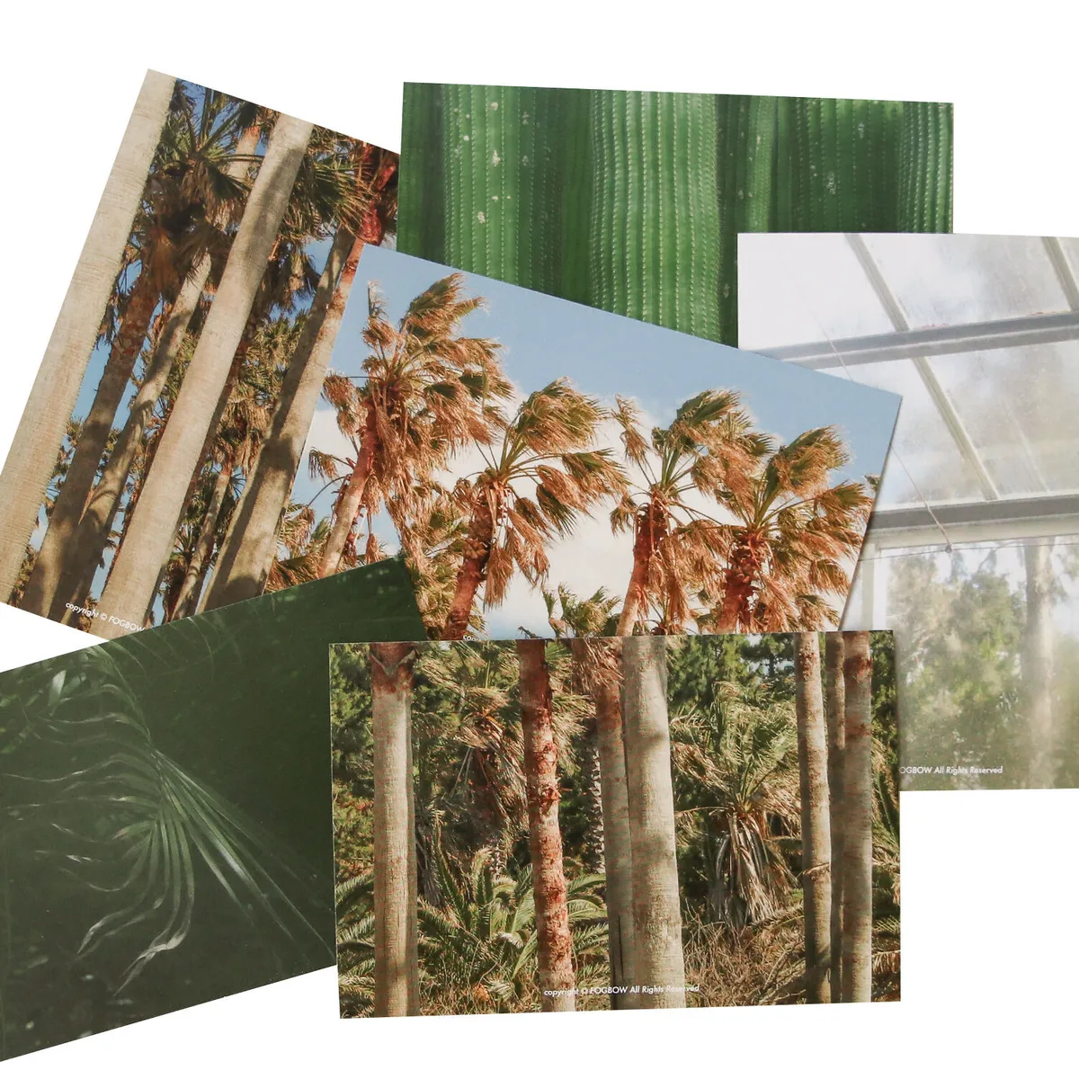 filming postcard ver. 03 사진 엽서 - 감도 깊은 취향 셀렉트샵 29CM