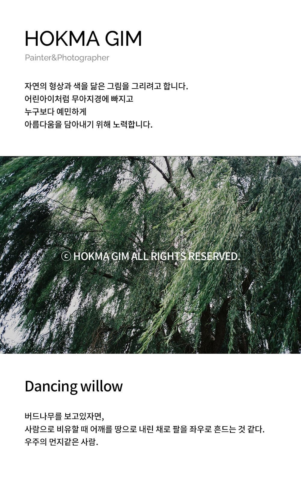 HOKMA GIM 작가, Dancing willow 쉬폰 패브릭 포스터 - 감도 깊은 취향 셀렉트샵 29CM