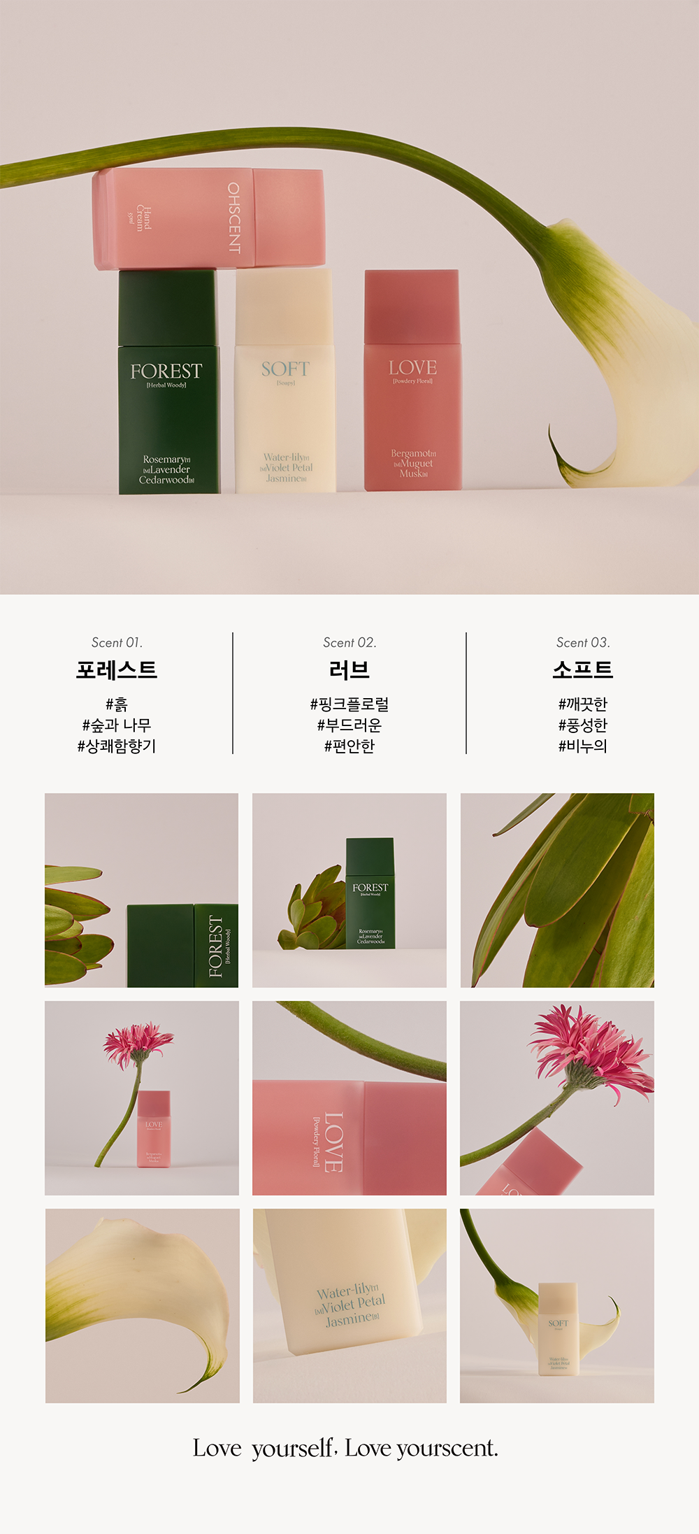 [new] 오센트 핸드크림 감도 깊은 취향 셀렉트샵 29cm