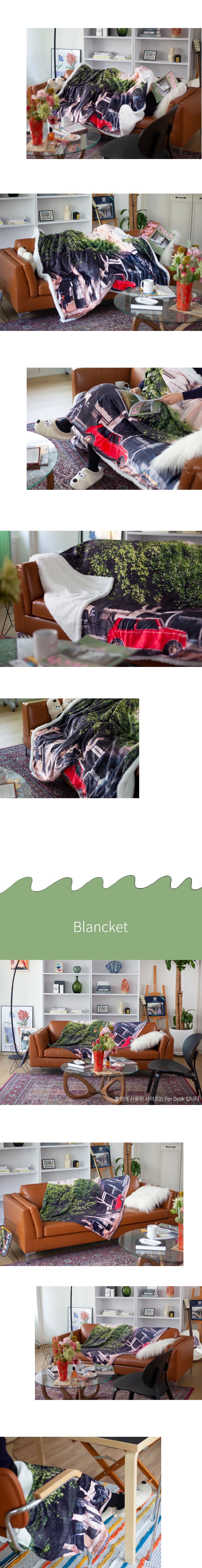 CAR 극세사 양털 블랭킷 2TYPE - 감도 깊은 취향 셀렉트샵 29CM