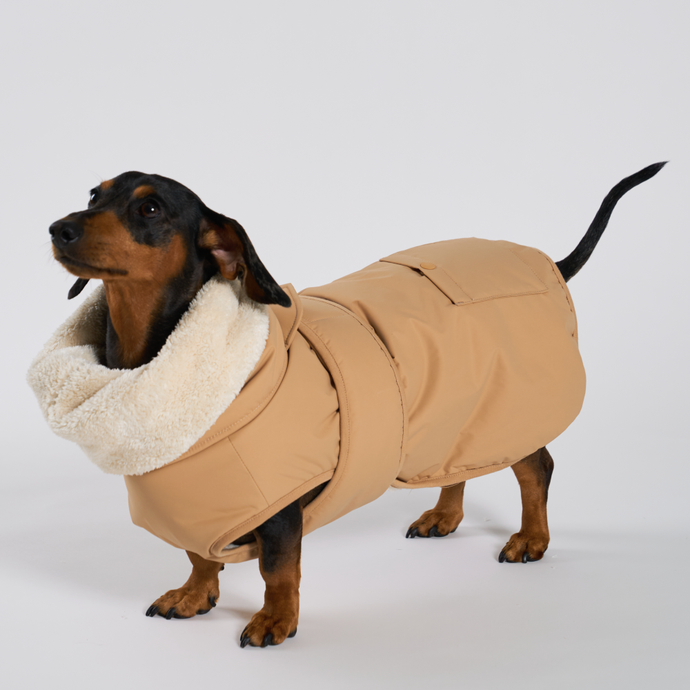 개따뜨텍 강아지 패딩 Beige - 감도 깊은 취향 셀렉트샵 29CM