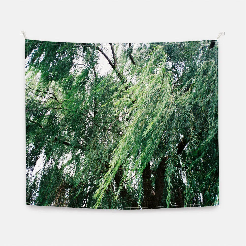 호크마킴 작가, Dancing willow 패브릭 포스터 대형 - 감도 깊은 취향 셀렉트샵 29CM