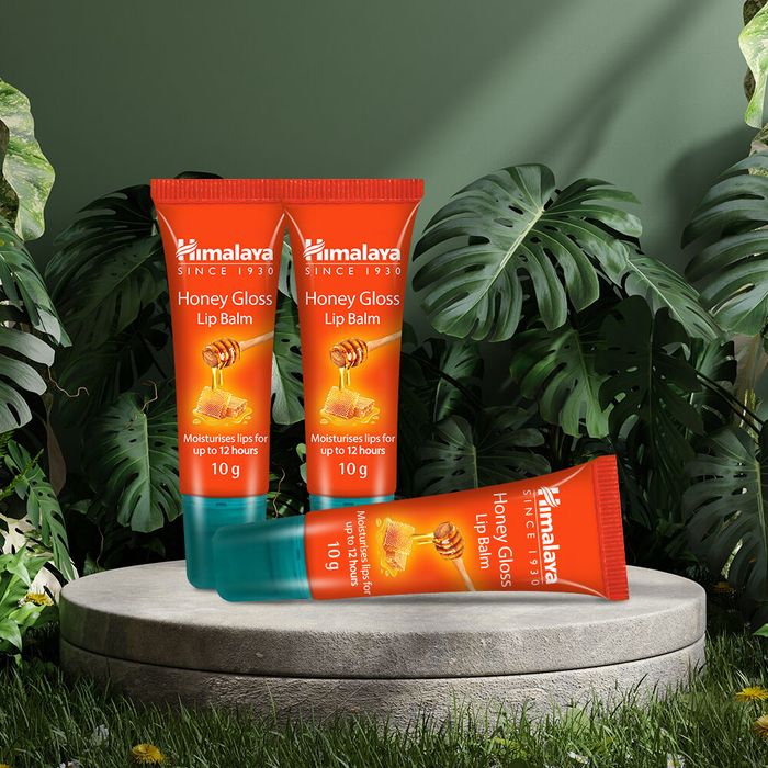 히말라야 허니 글로스 립밤 10g X3 - 감도 깊은 취향 셀렉트샵 29CM