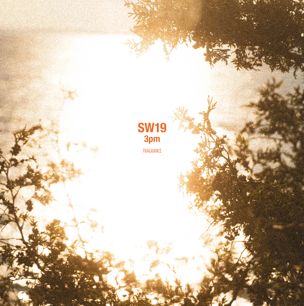 3PM HAND CREAM (50ml) - 감도 깊은 취향 셀렉트샵 29CM