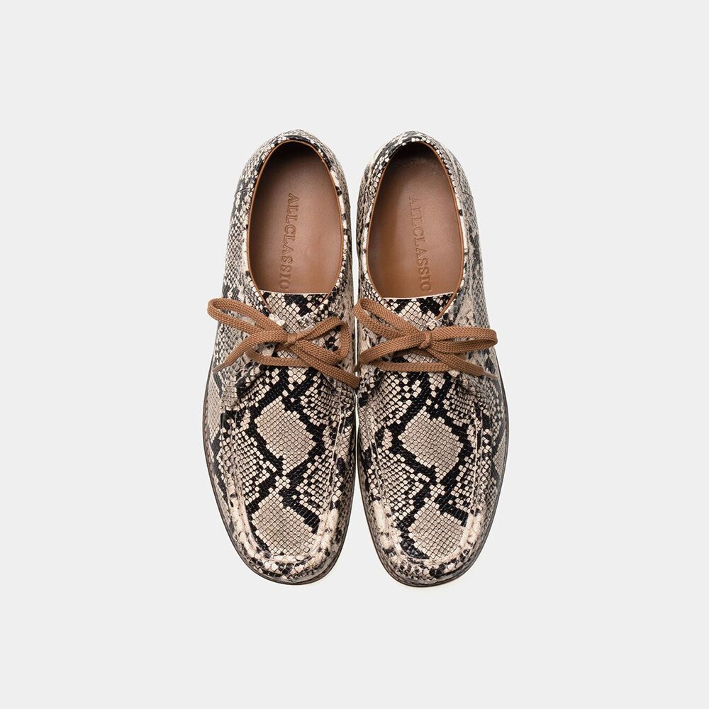 Perry Desert Derby Python / ALC200 - 감도 깊은 취향 셀렉트샵 29CM